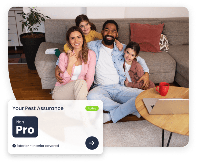 Pest Share - On Demand Pest Control