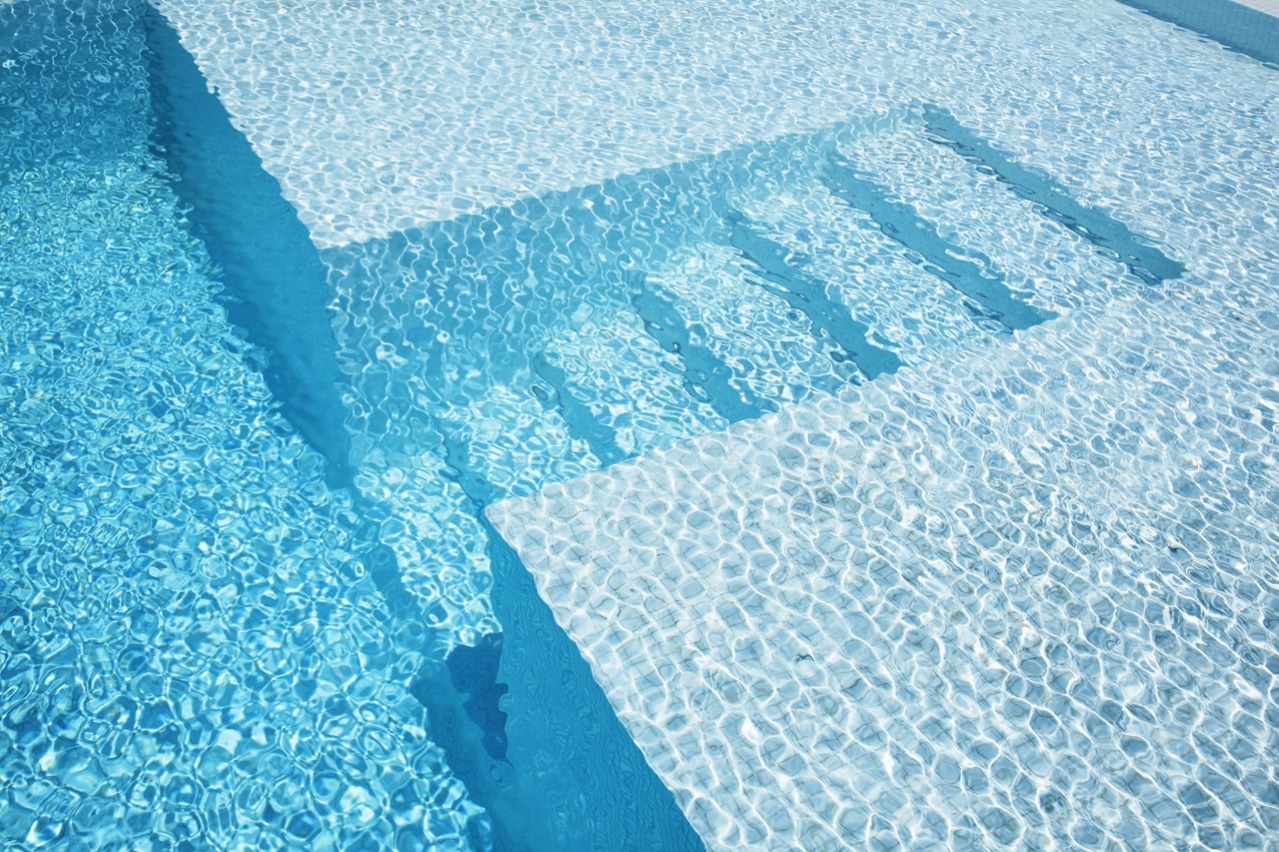 Termite 101: The Ultimate Guide for Property Managers