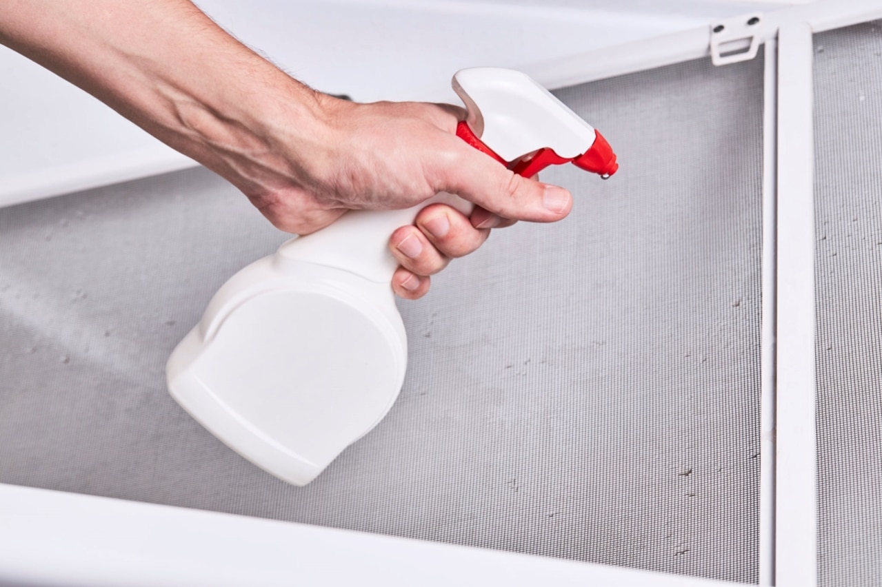 Bugs on Window Screen: How to Handle and Prevent Transparent Troubles