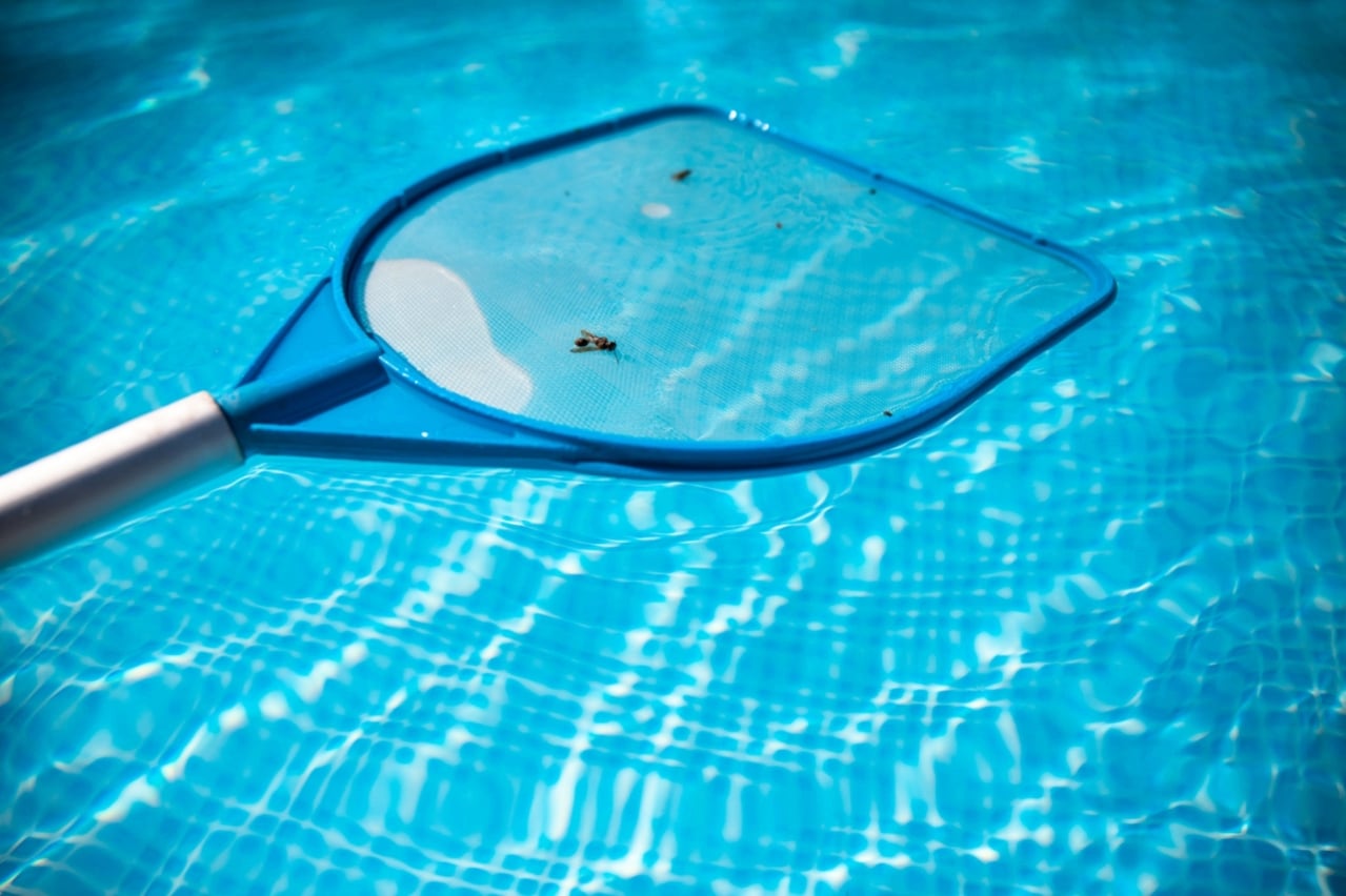 Kill Mosquitoes in Pool: Poolside Pest Control Tips for Property Managers