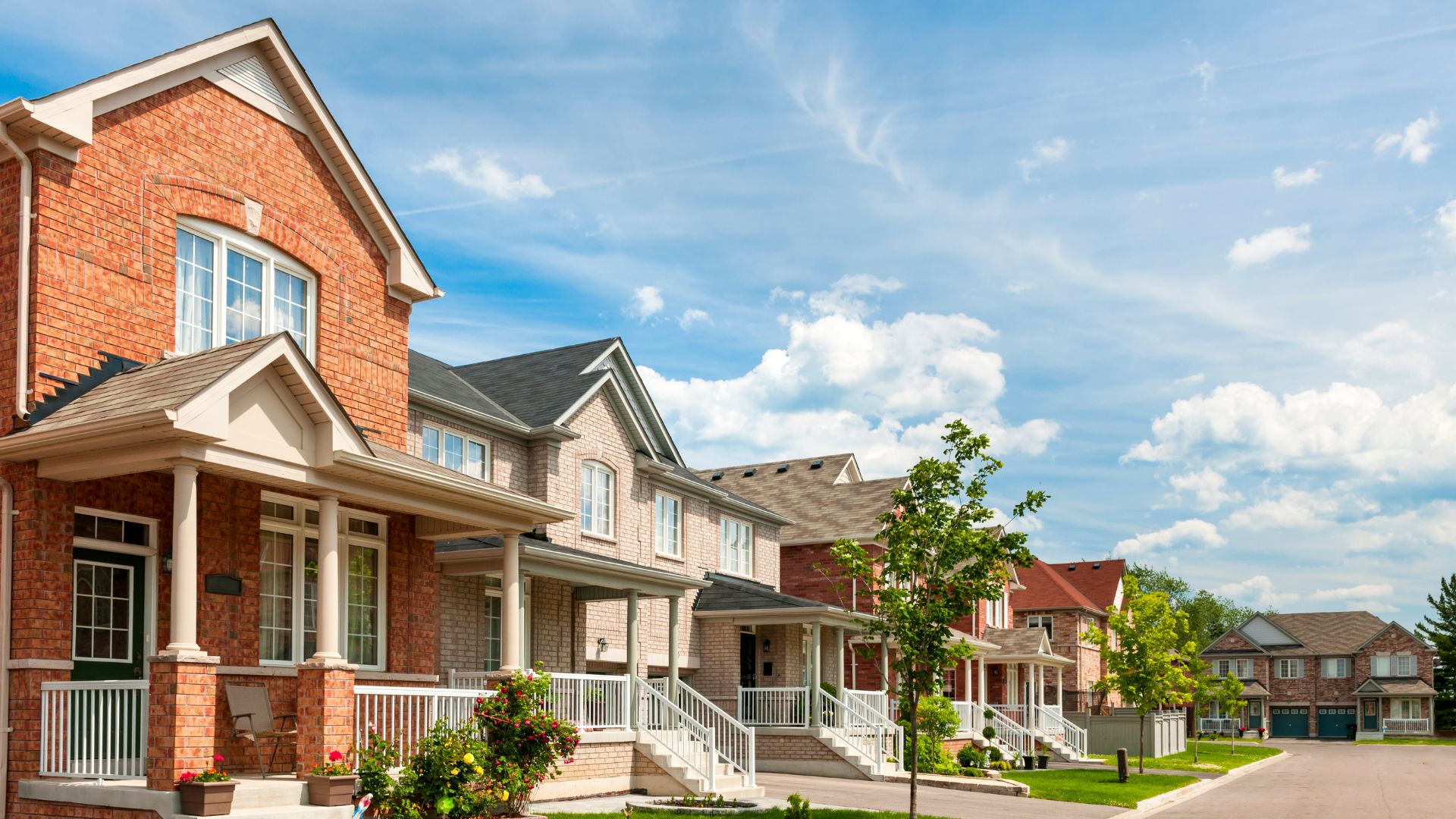 Middleton Pest Control: Keep Your Apartment Oasis Pest-Free