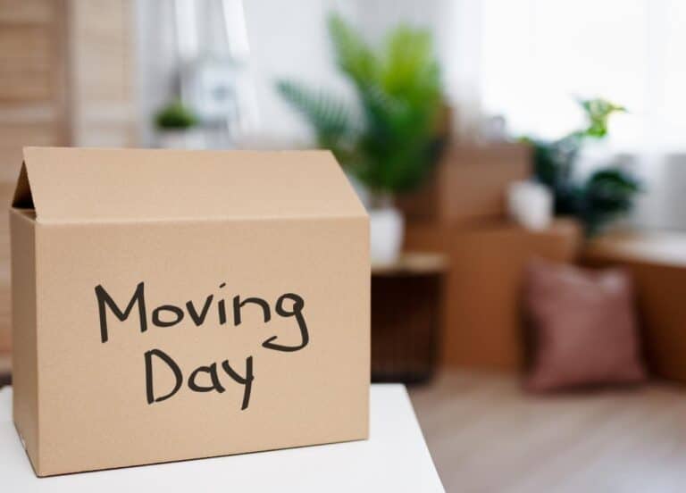 Move In Packet: Create the Perfect One for Apartments